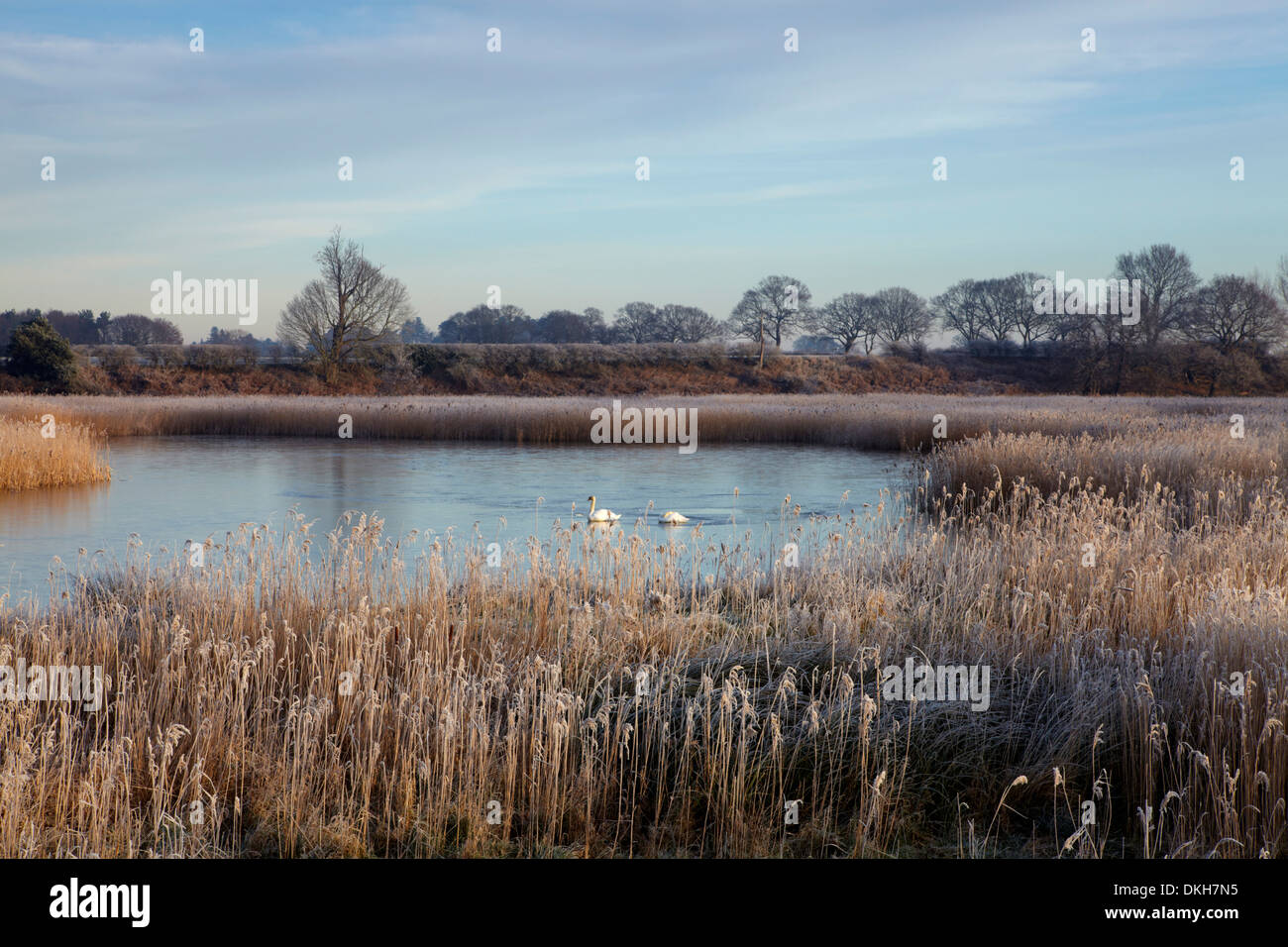 Winter scene in the Norfolk Broads near Ludham Bridge, Norfolk, United ...