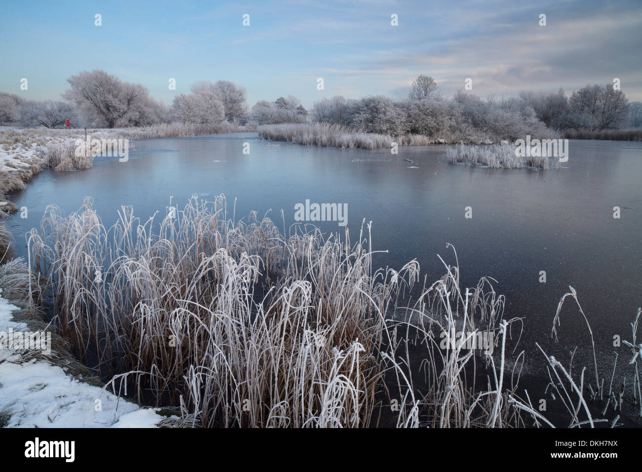 Bure Park High Resolution Stock Photography and Images - Alamy