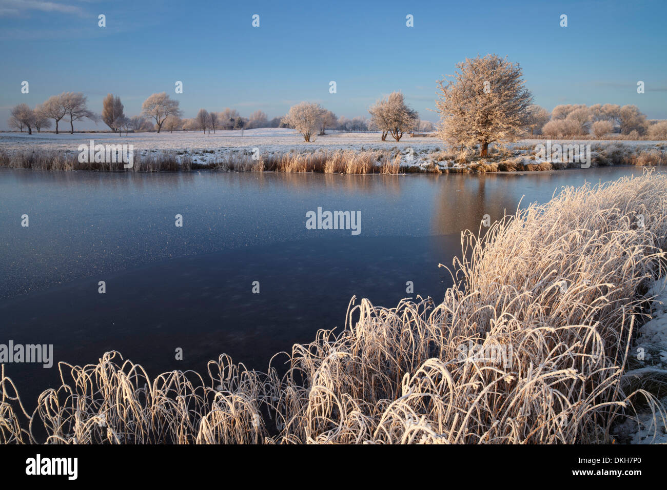 Bure Park High Resolution Stock Photography and Images - Alamy