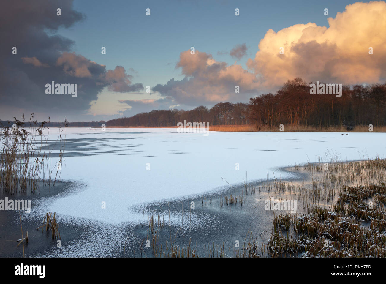 Wintry scenes hi-res stock photography and images - Alamy