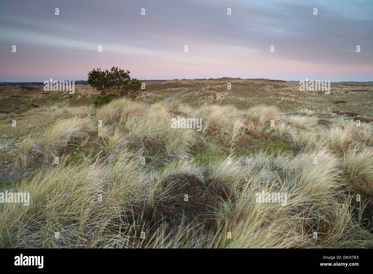Dawn on the dunes at Winterton, Norfolk, England, United Kingdom ...