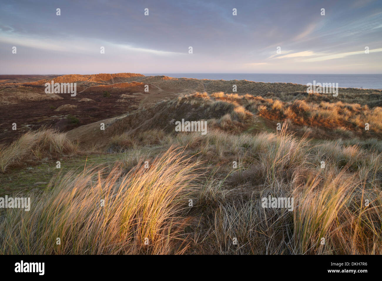 Dawn on the dunes at Winterton, Norfolk, England, United Kingdom ...
