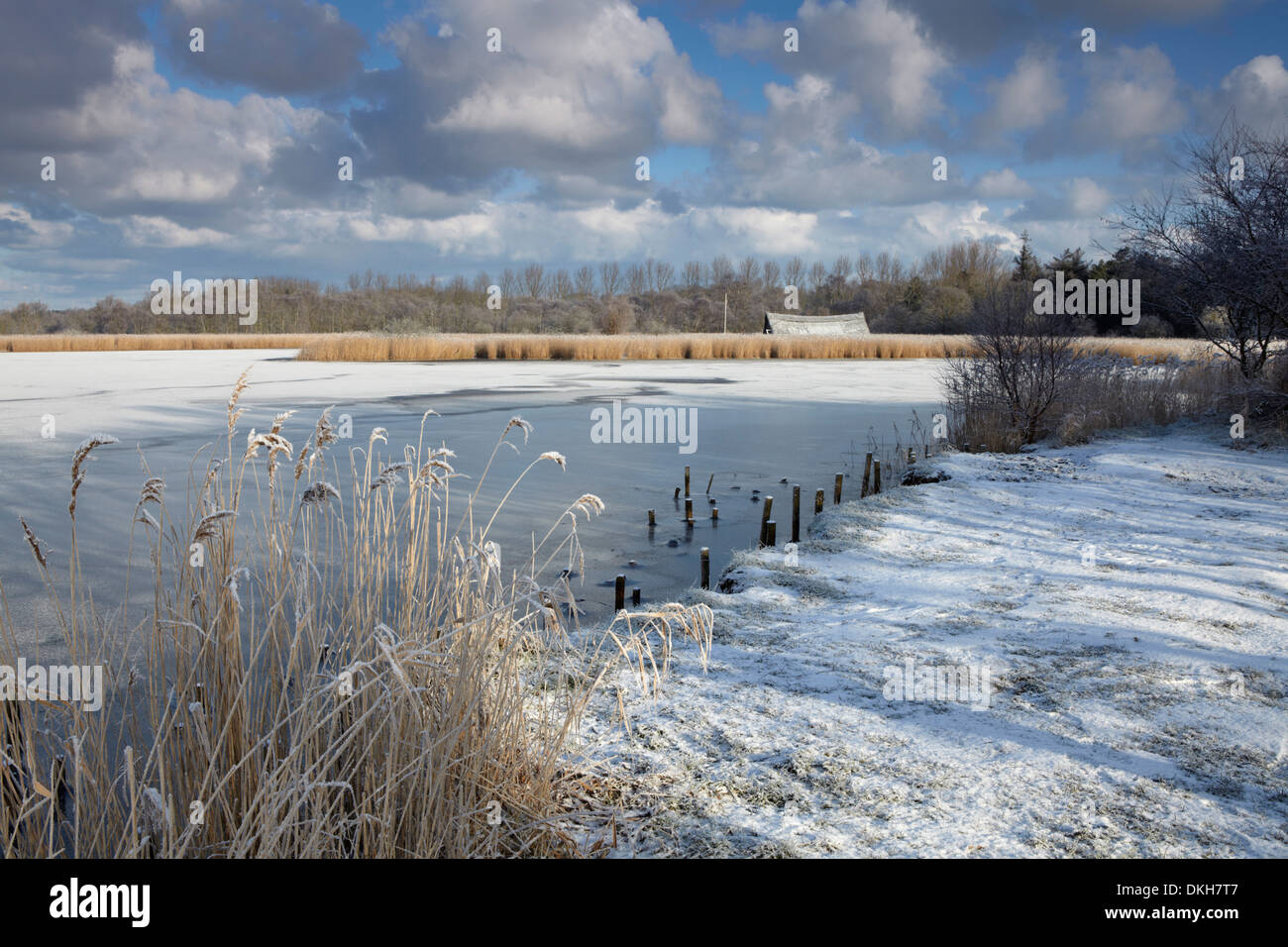 A cold winter day in the Norfolk Broads showing a frozen Horsey Mere ...