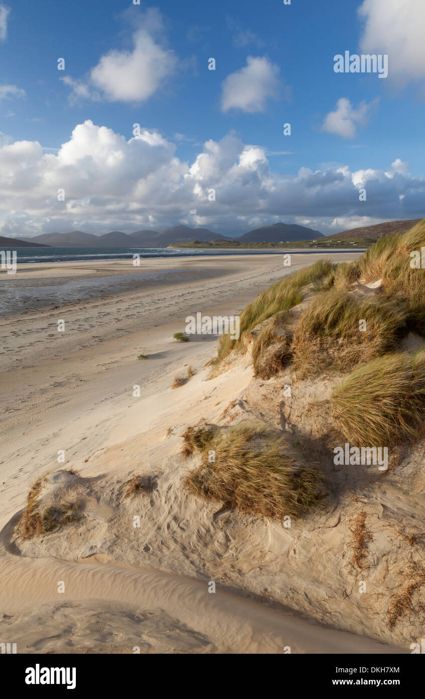 Windy beaches hi-res stock photography and images - Alamy