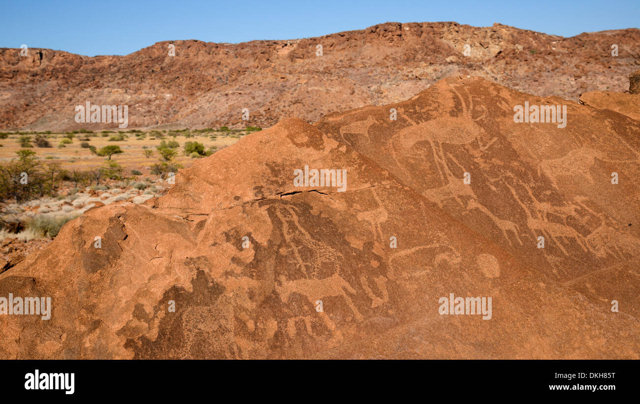 Namibia africa twyfelfontein petroglyph hi-res stock photography and ...