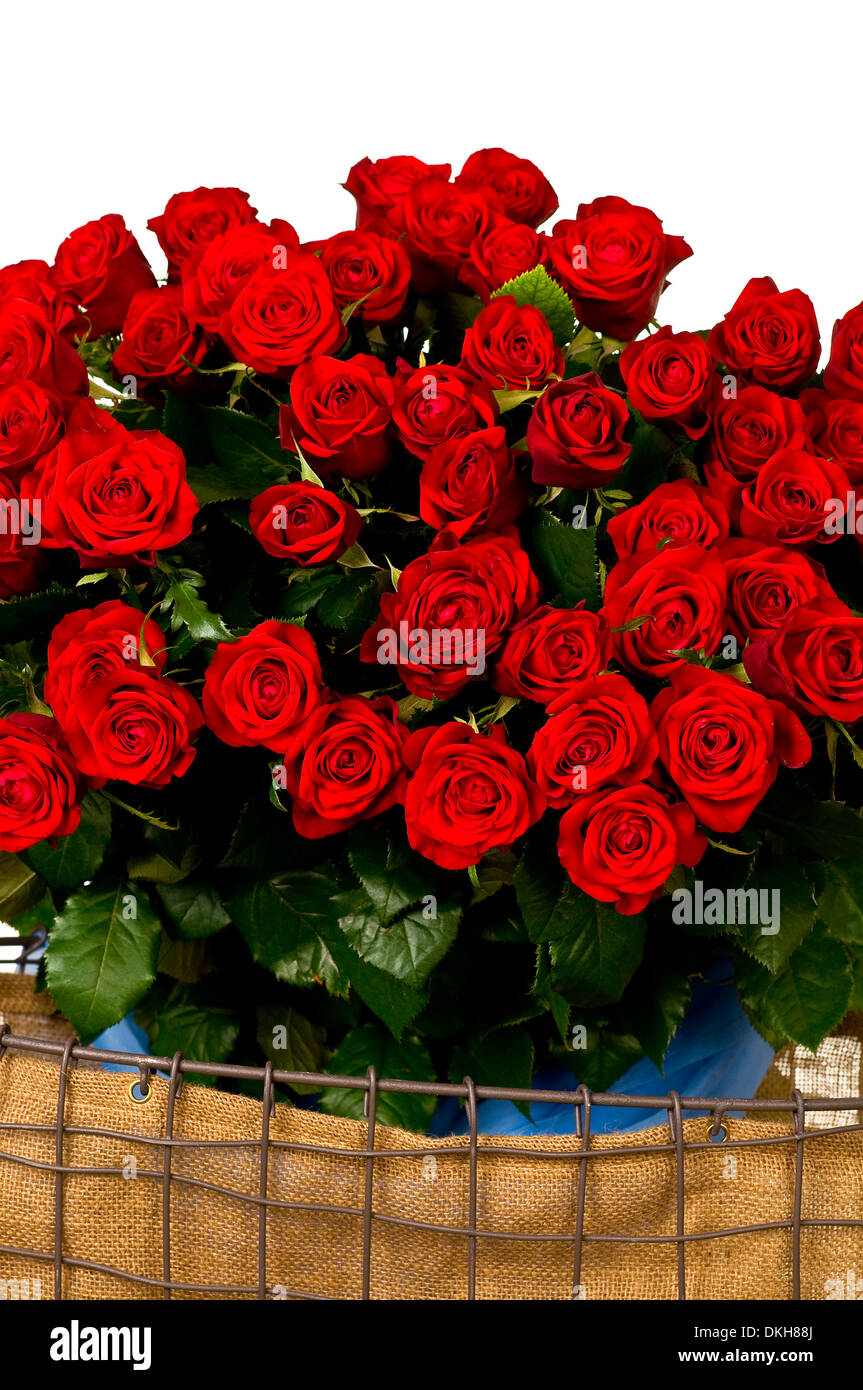 Huge Bouquet High Resolution Stock Photography and Images - Alamy