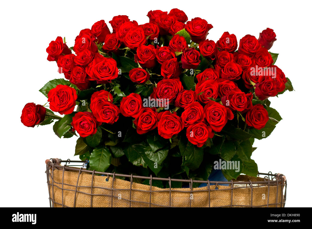 Red roses, a huge bouquet of flowers Stock Photo - Alamy