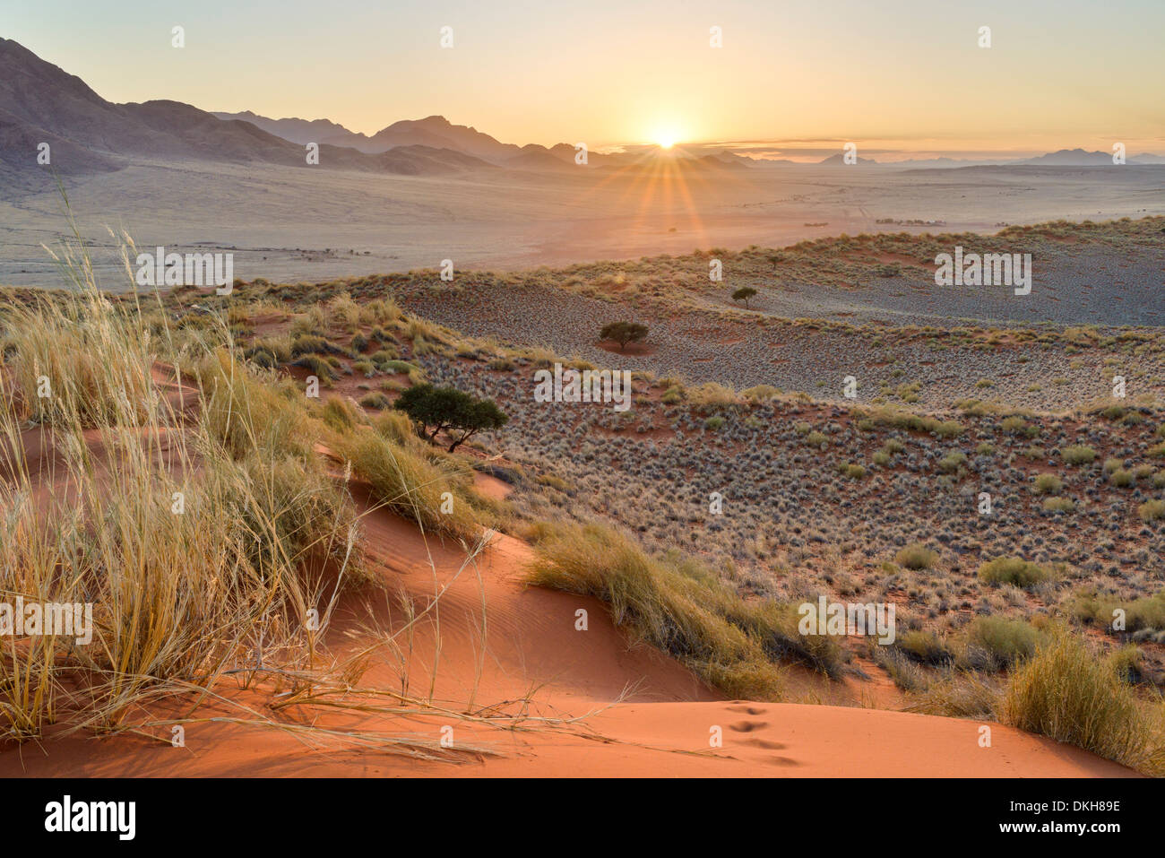 Desert scenes hi-res stock photography and images - Alamy
