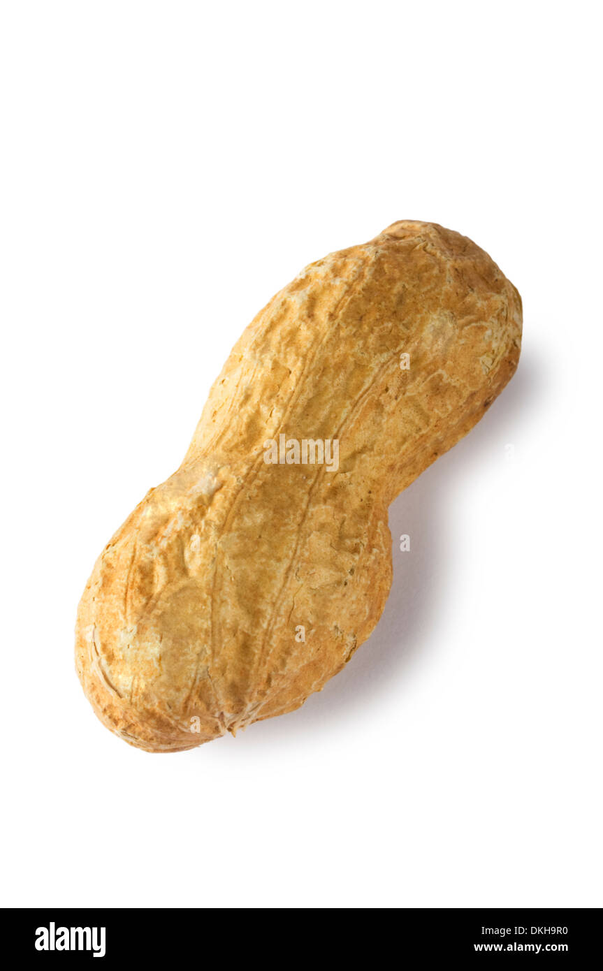 Peanut - John Gollop Stock Photo - Alamy