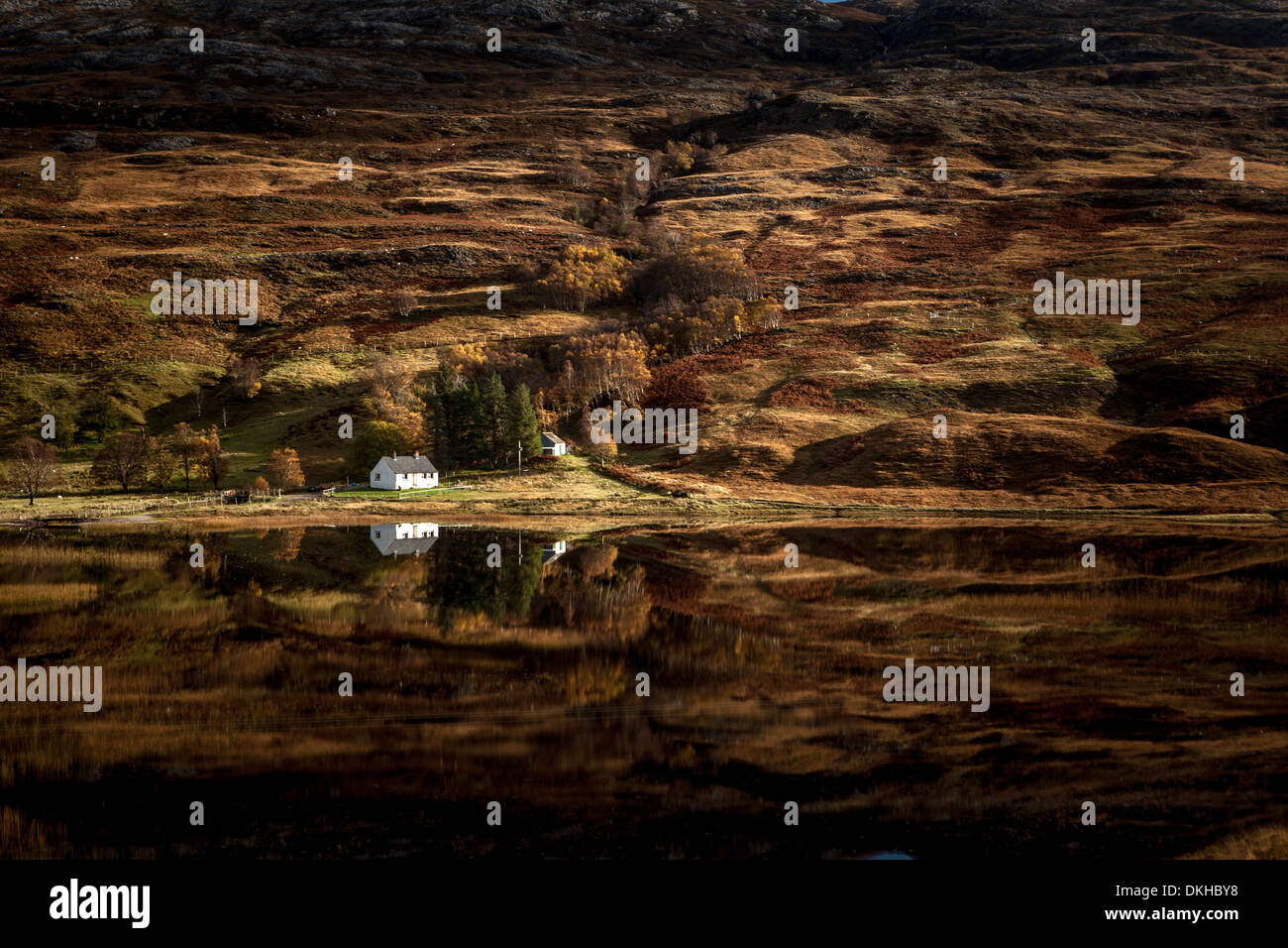 Damh hi-res stock photography and images - Alamy