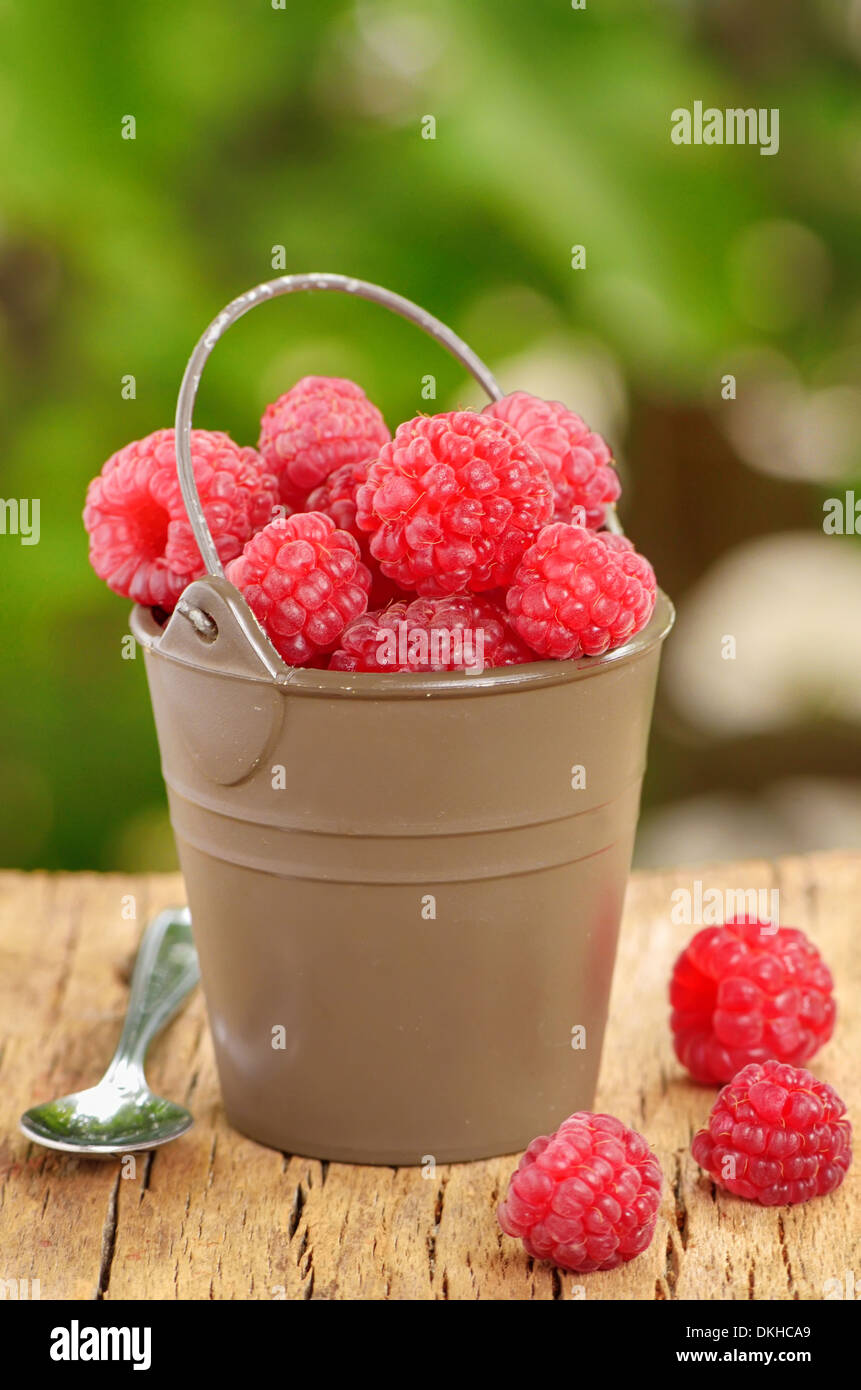 Raspberries in nature hi-res stock photography and images - Alamy