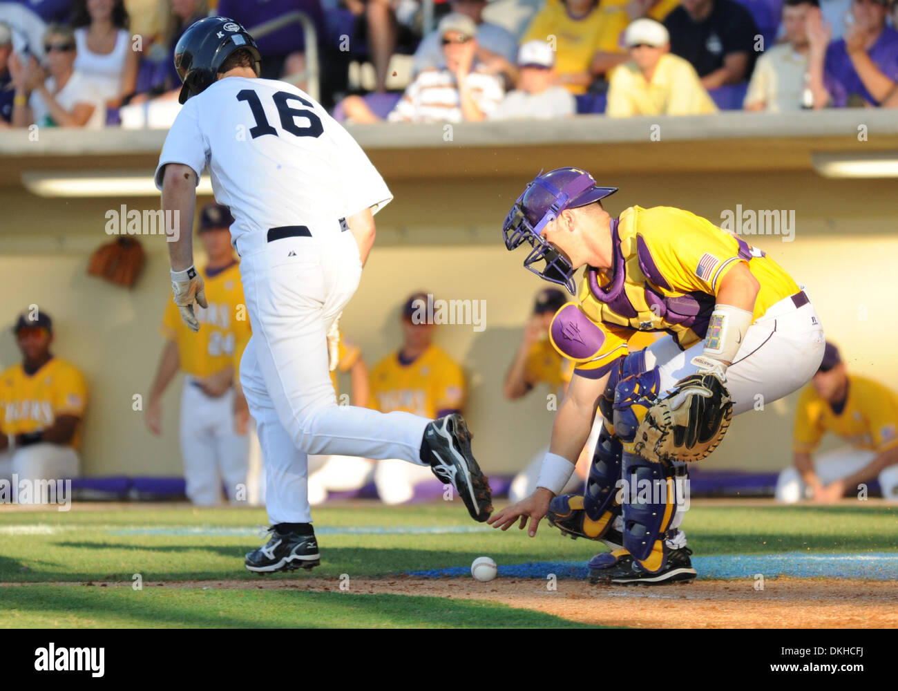Rice regional baseball hi-res stock photography and images - Alamy