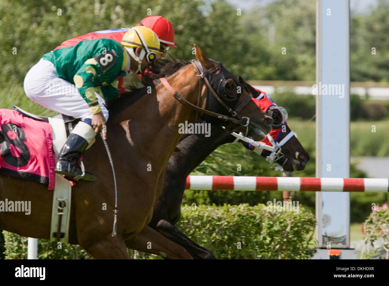 12 July 2009: Marco Be Good (left) and Drunken Love (right) during the ...