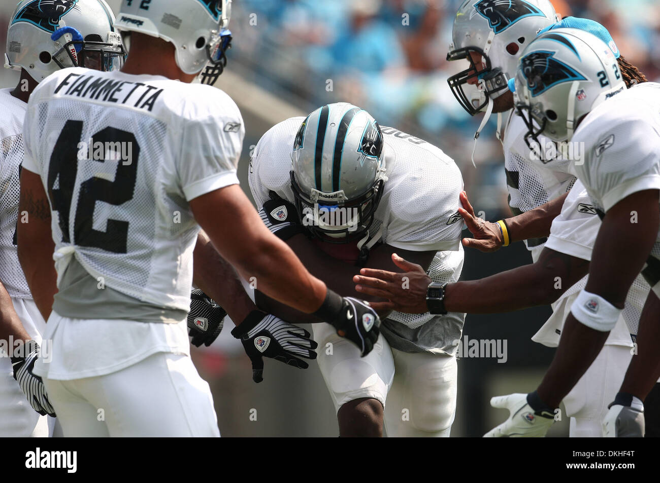 Nfl carolina panther running back hi-res stock photography and images ...