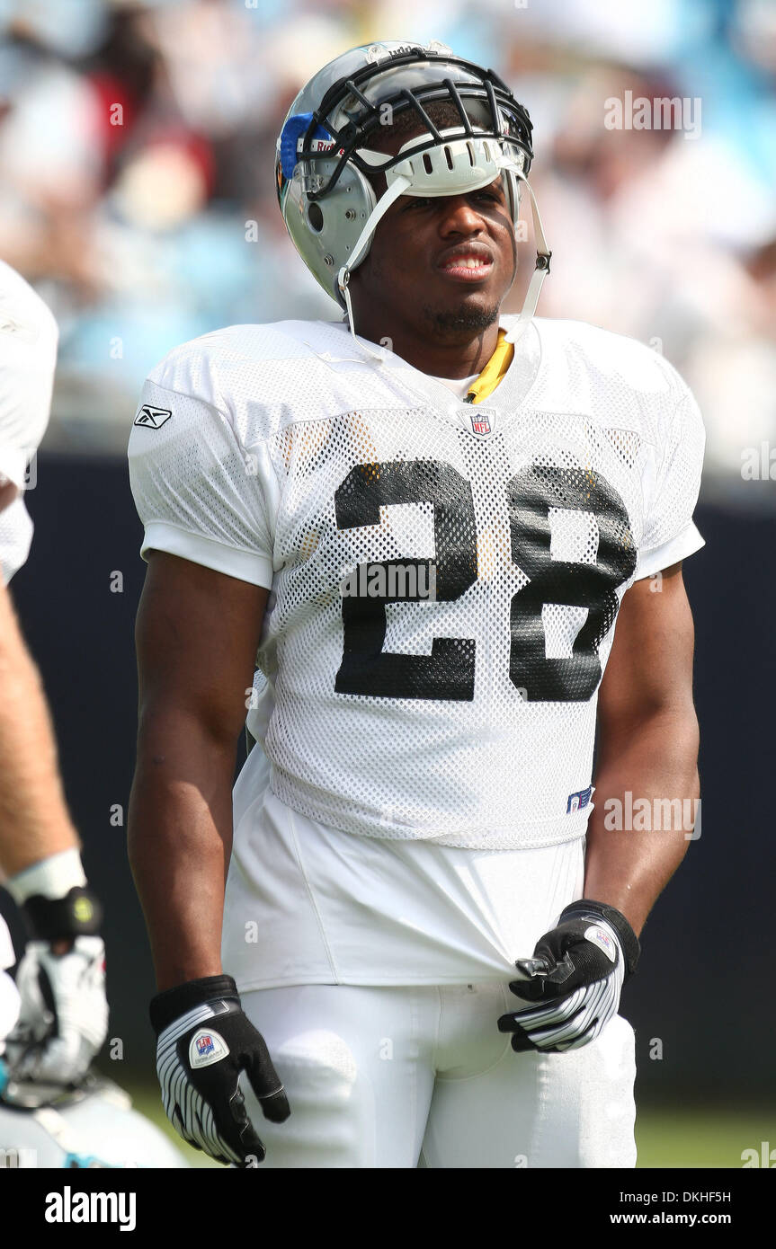 Nfl carolina panther running back hi-res stock photography and images ...