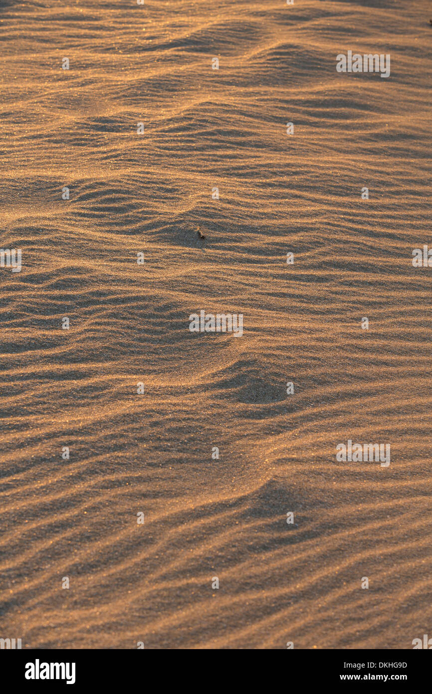 Hawaii Maui Kihei beach sand pattern windswept Stock Photo - Alamy