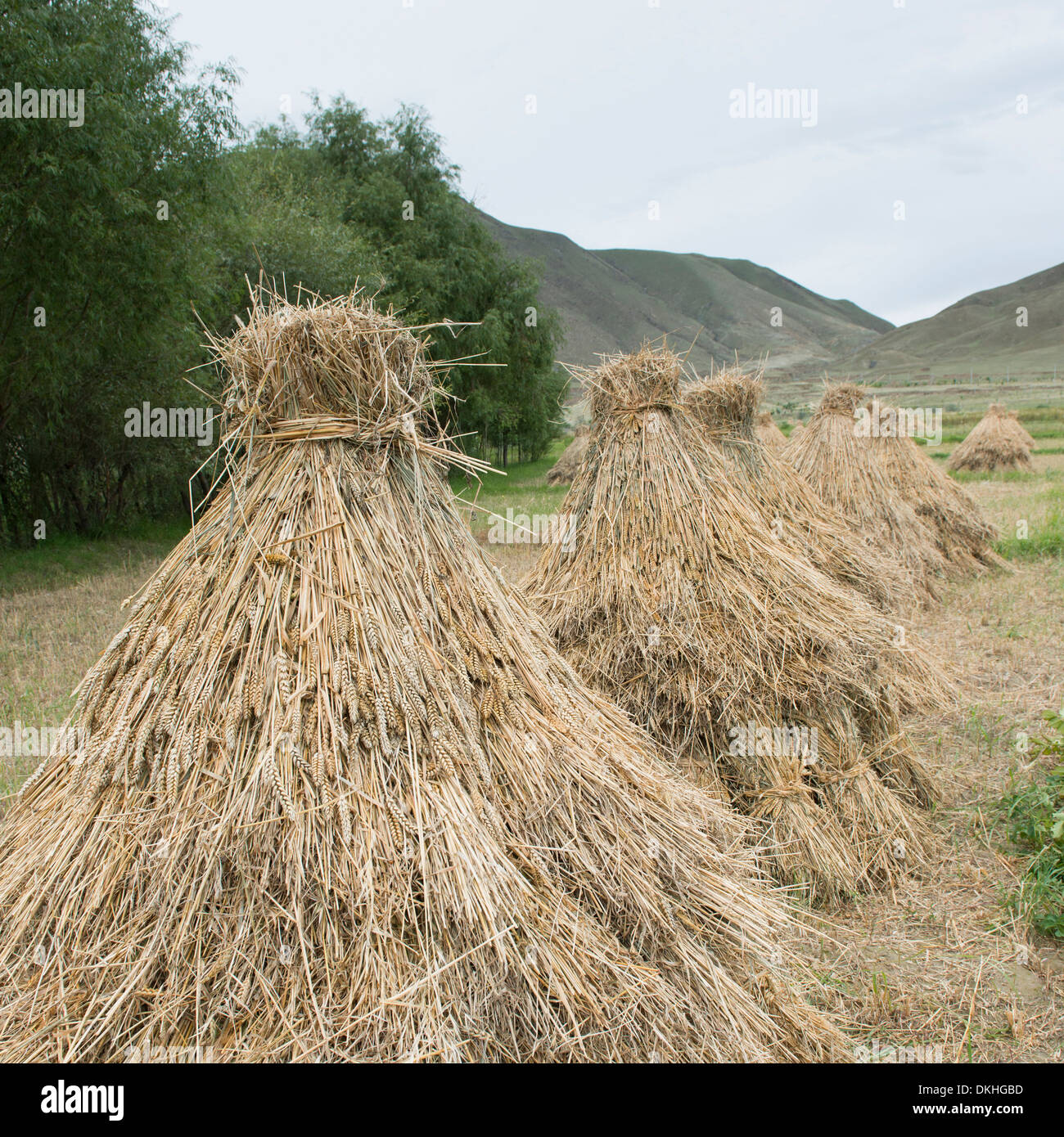 Gonggar mountain hi-res stock photography and images - Alamy