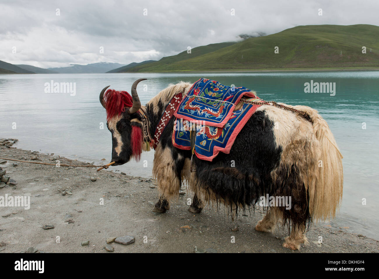 Shannon lake hi-res stock photography and images - Alamy