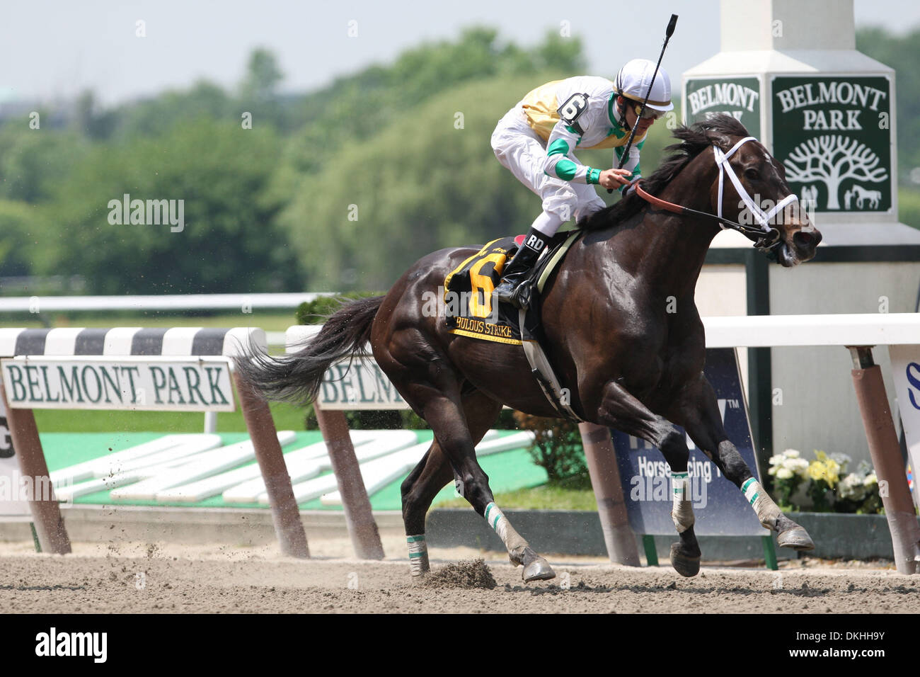 June 6, 2009 - Elmont, Ny, New York, U.S - 06 June 2009: The #6 horse ...