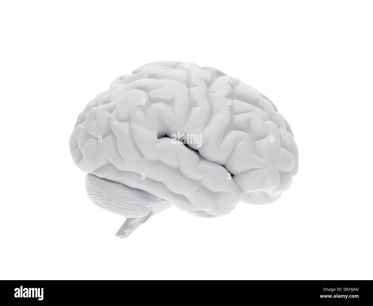 High resolution image. 3d rendered illustration. 3d human brain Stock ...