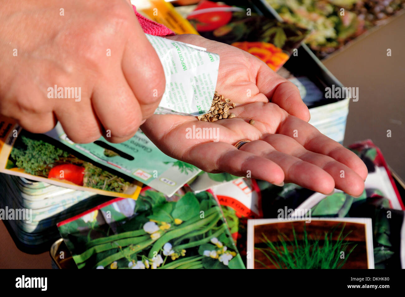 Hands Seed Packets High Resolution Stock Photography and Images - Alamy