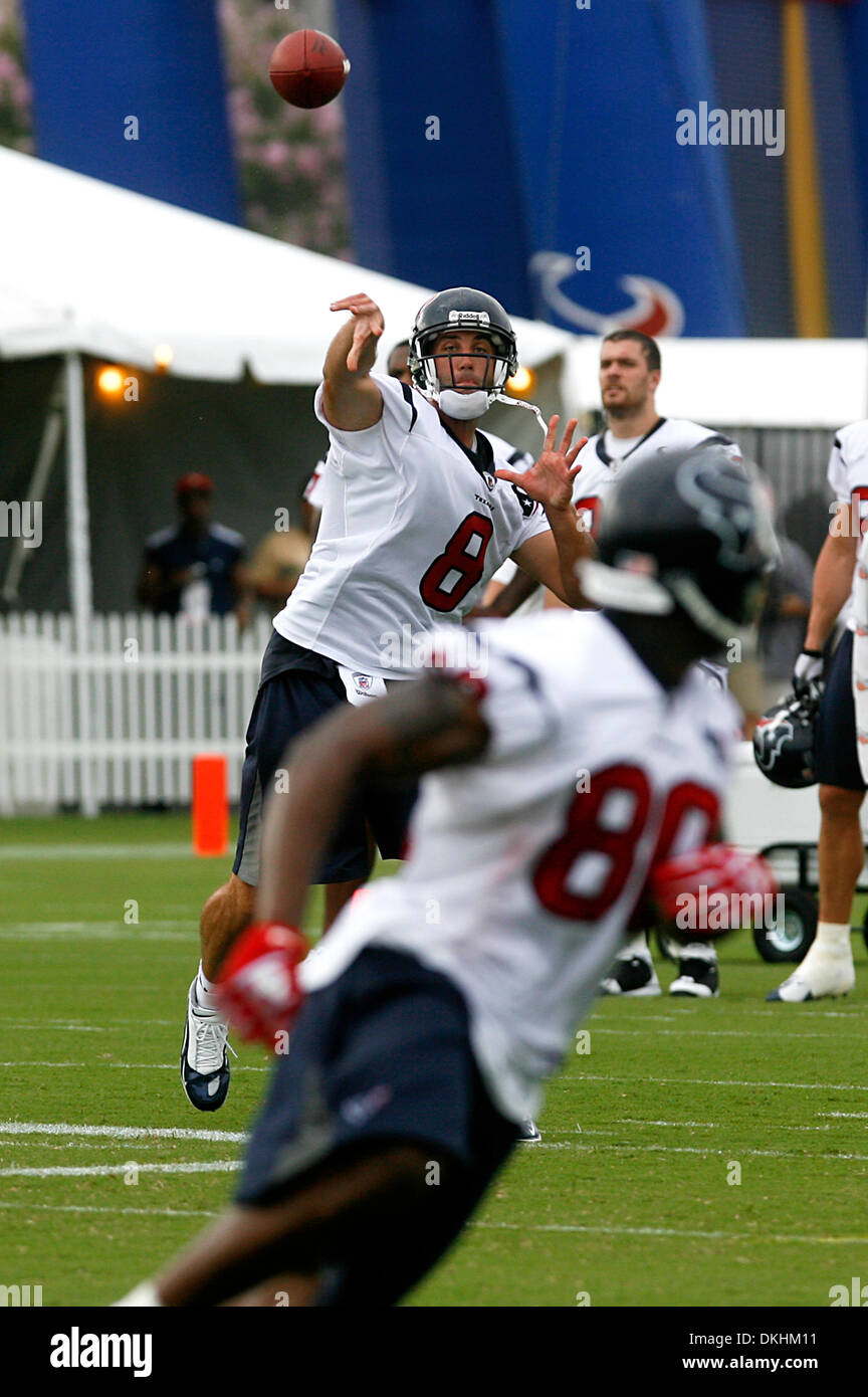 Andre Johnson Matt Schaub