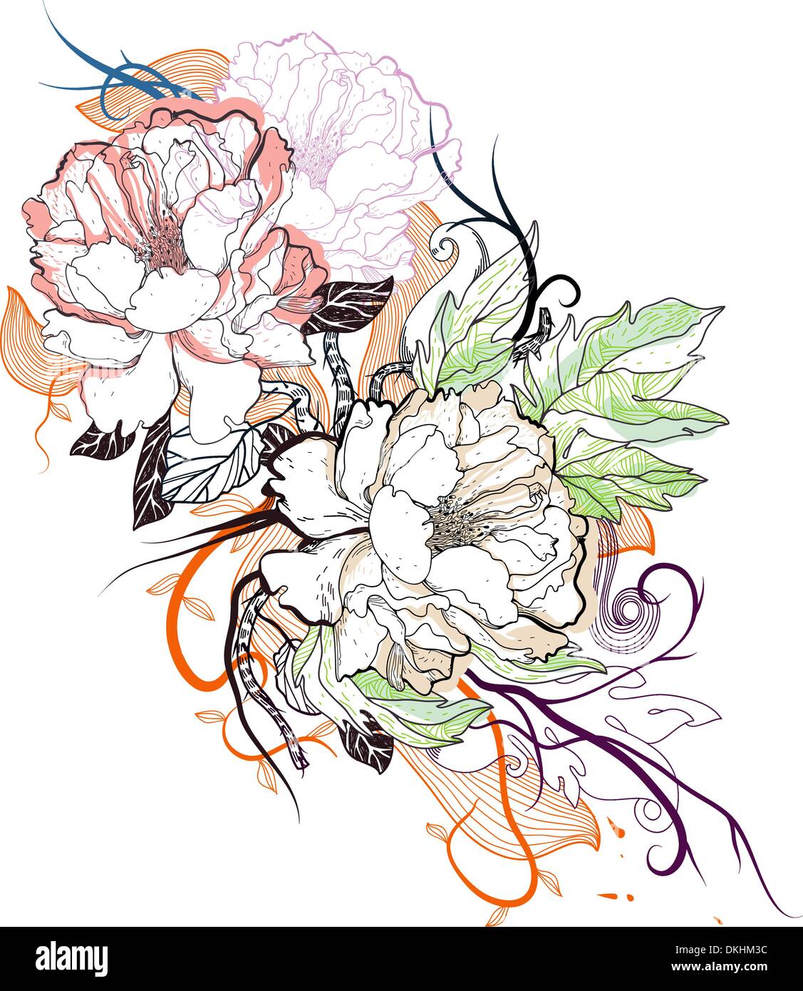 vector illustration of blooming roses Stock Vector Image & Art - Alamy