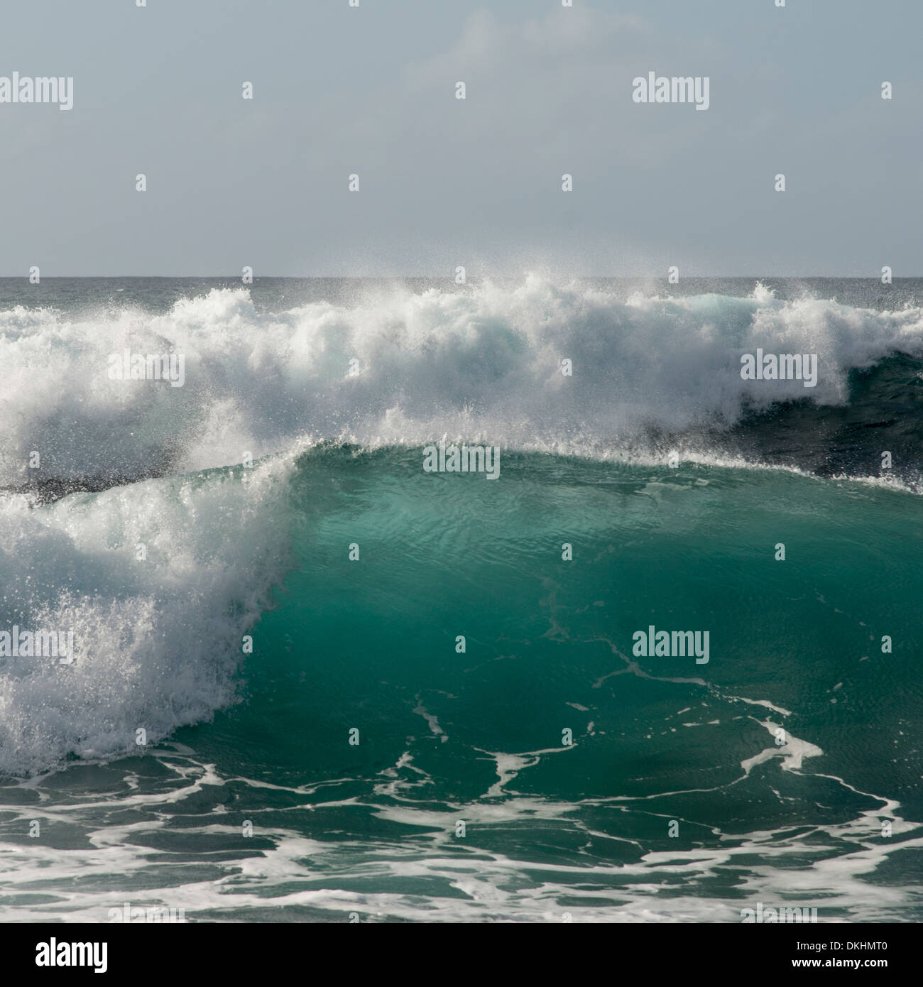 Surf waves in the ocean, Haleiwa, North Shore, Oahu, Hawaii, USA Stock ...