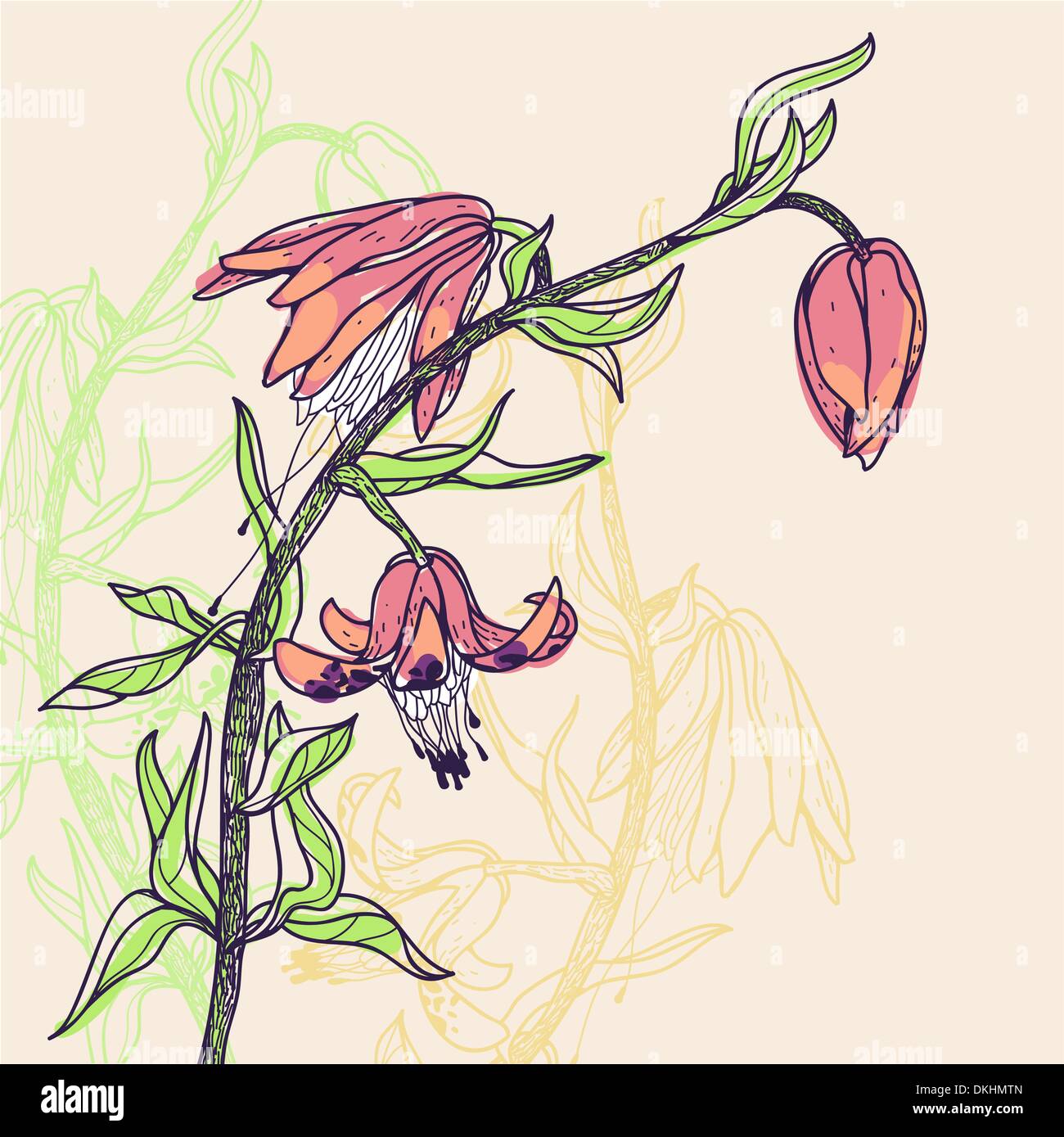 vector floral illustration Stock Vector Image & Art - Alamy