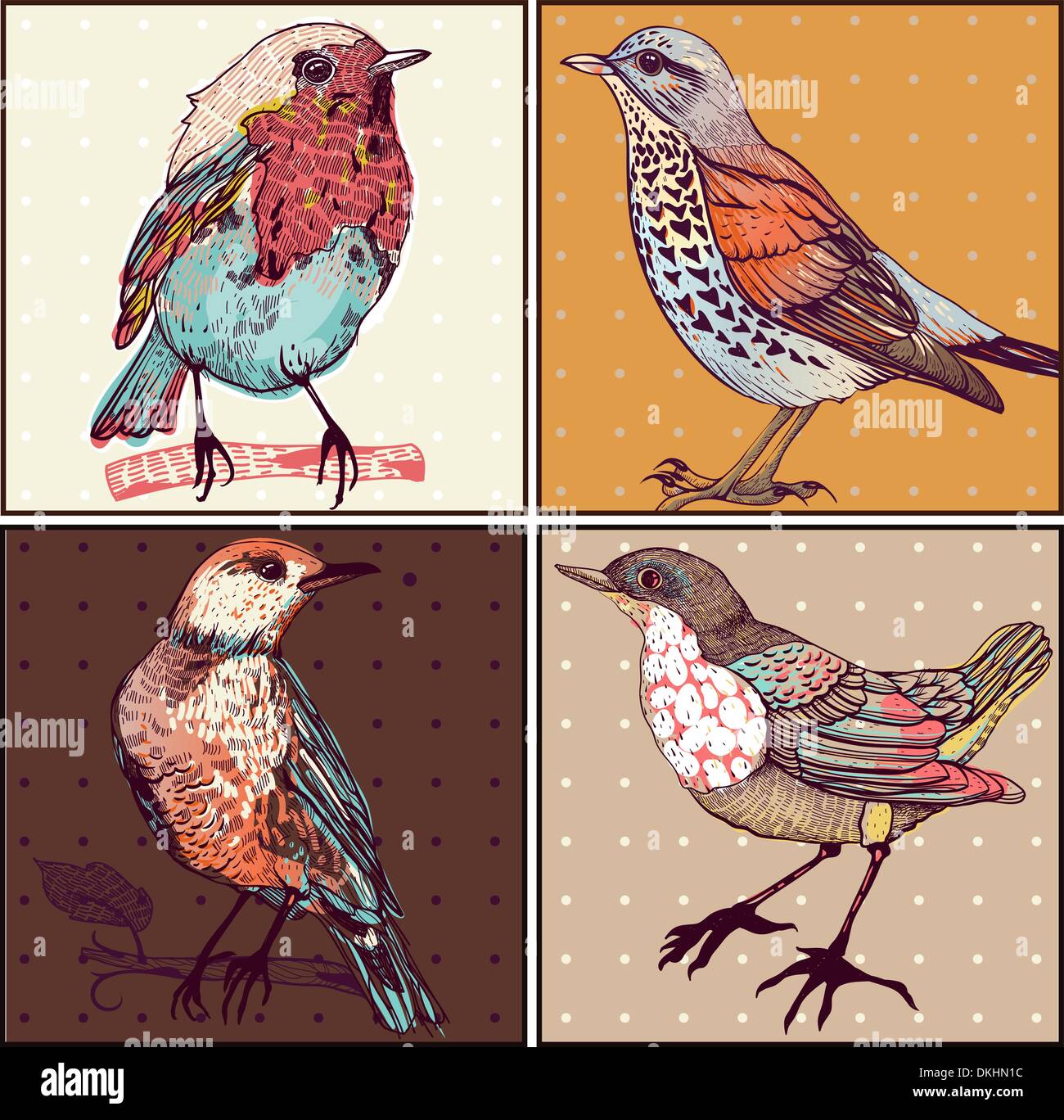 vector set of hand drawn cards with colorful birds Stock Vector Image ...