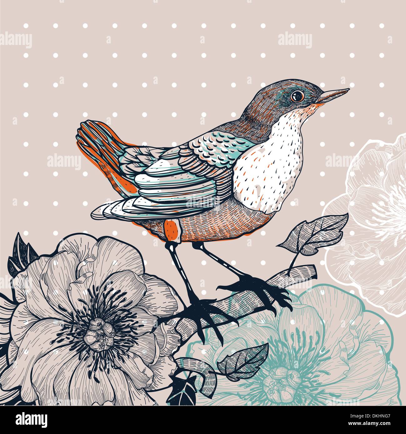 Wild roses bloom in Stock Vector Images - Alamy