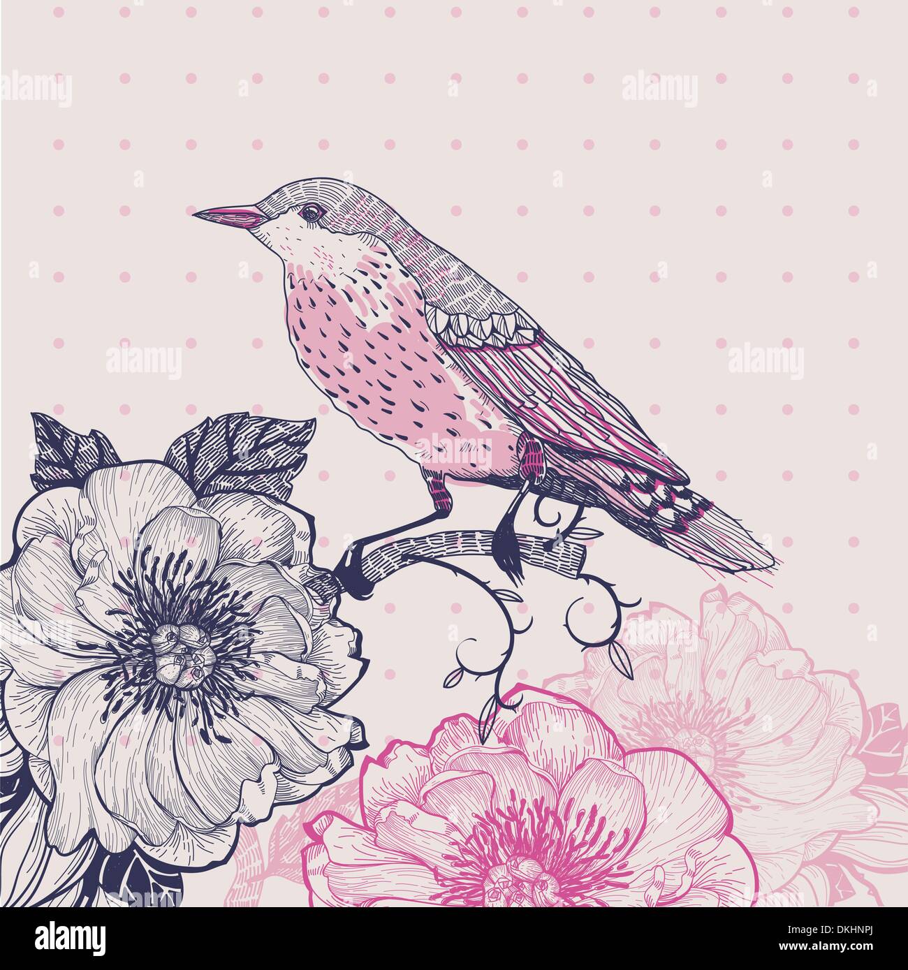 vector illustration of a bird and flowers in a vintage style Stock ...