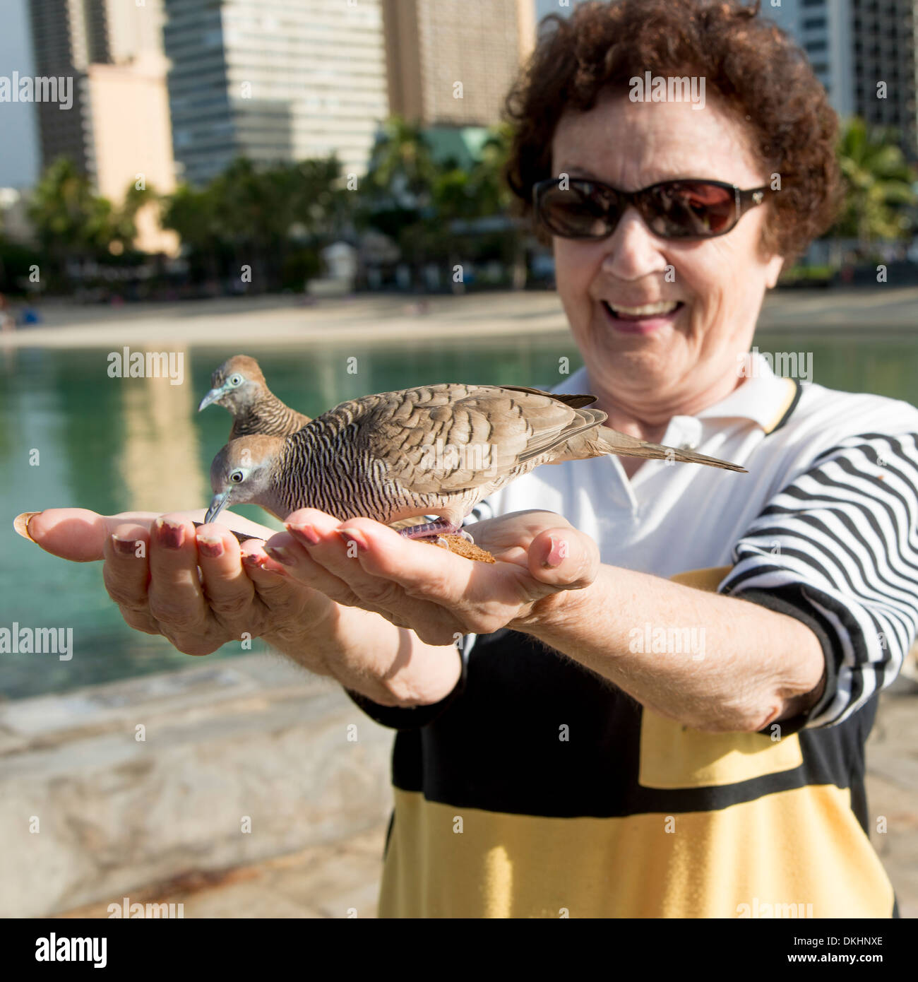 Woman feeding pigeons, Waikiki, Diamond Head, Kapahulu, Honolulu, Oahu ...