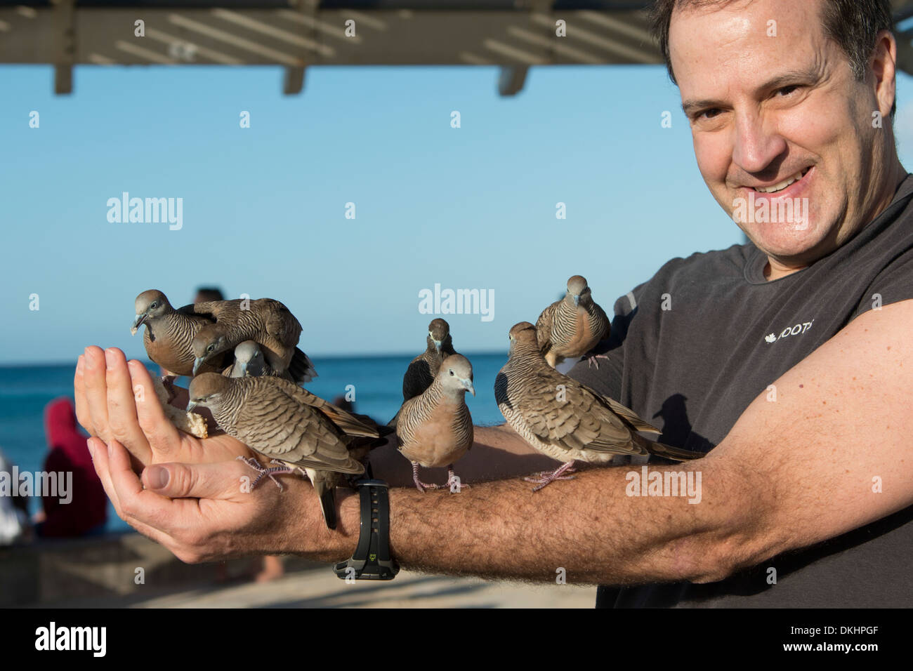 Man feeding pigeons on his arm, Waikiki, Diamond Head, Kapahulu ...