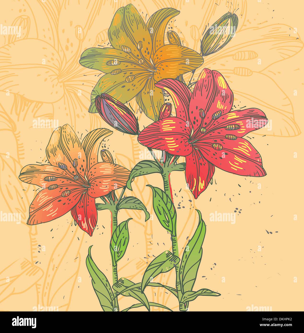 vector floral illustration of fresh blooming lilies Stock Vector Image ...