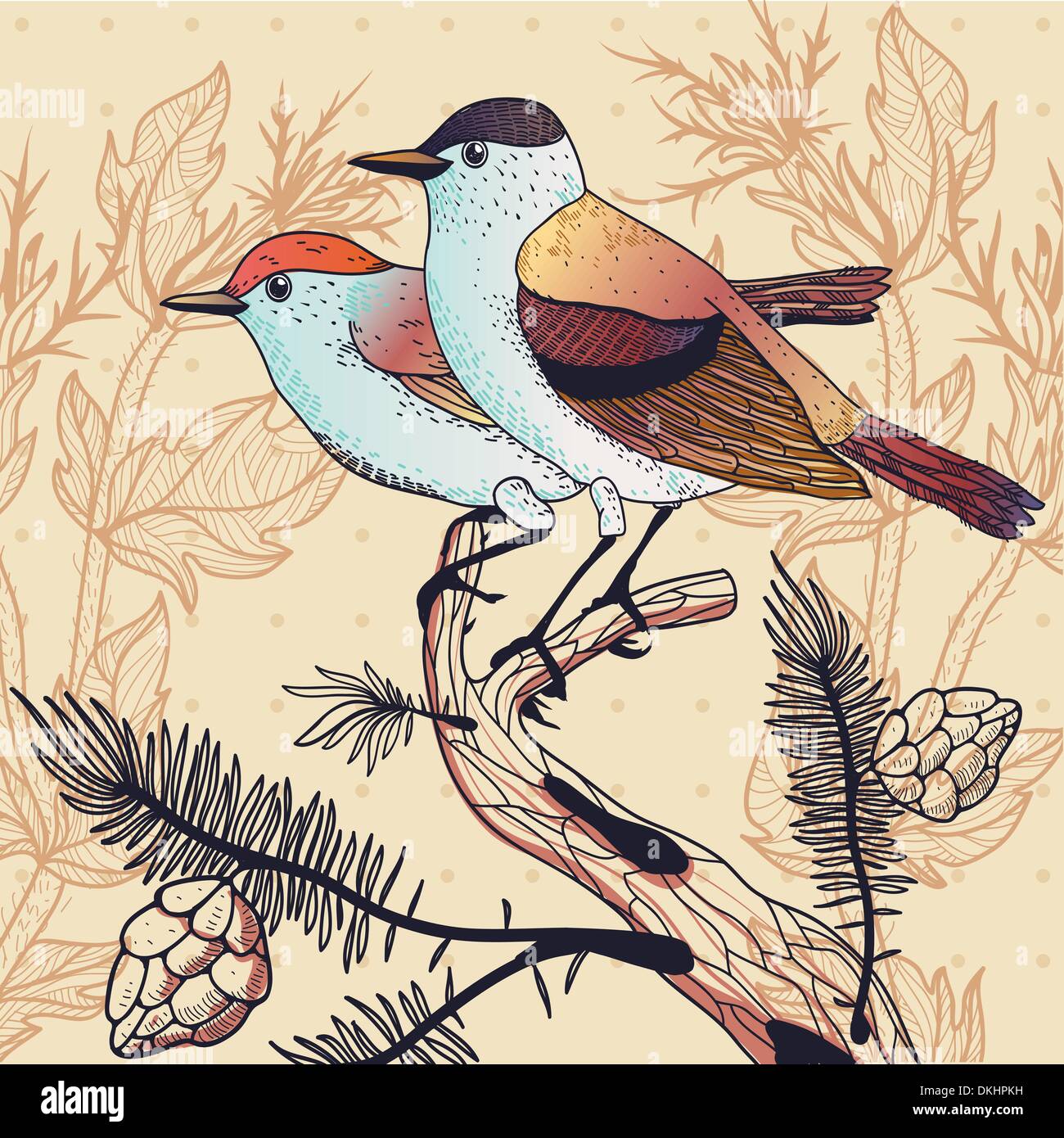 vector illustration with a couple of colorful forest birds Stock Vector ...