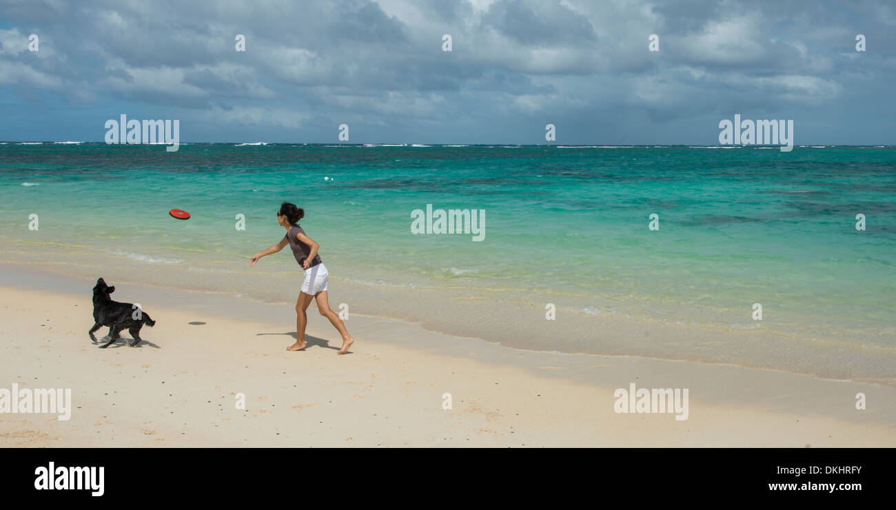 Kailua beach dog hi-res stock photography and images - Alamy