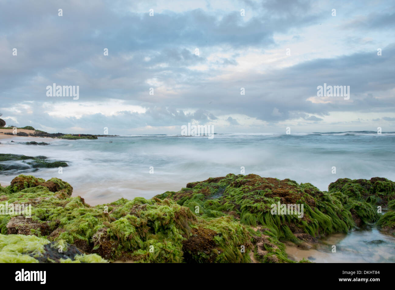 Rock formations on the coast, Sandy Beach, Hawaii Kai, Honolulu, Oahu ...