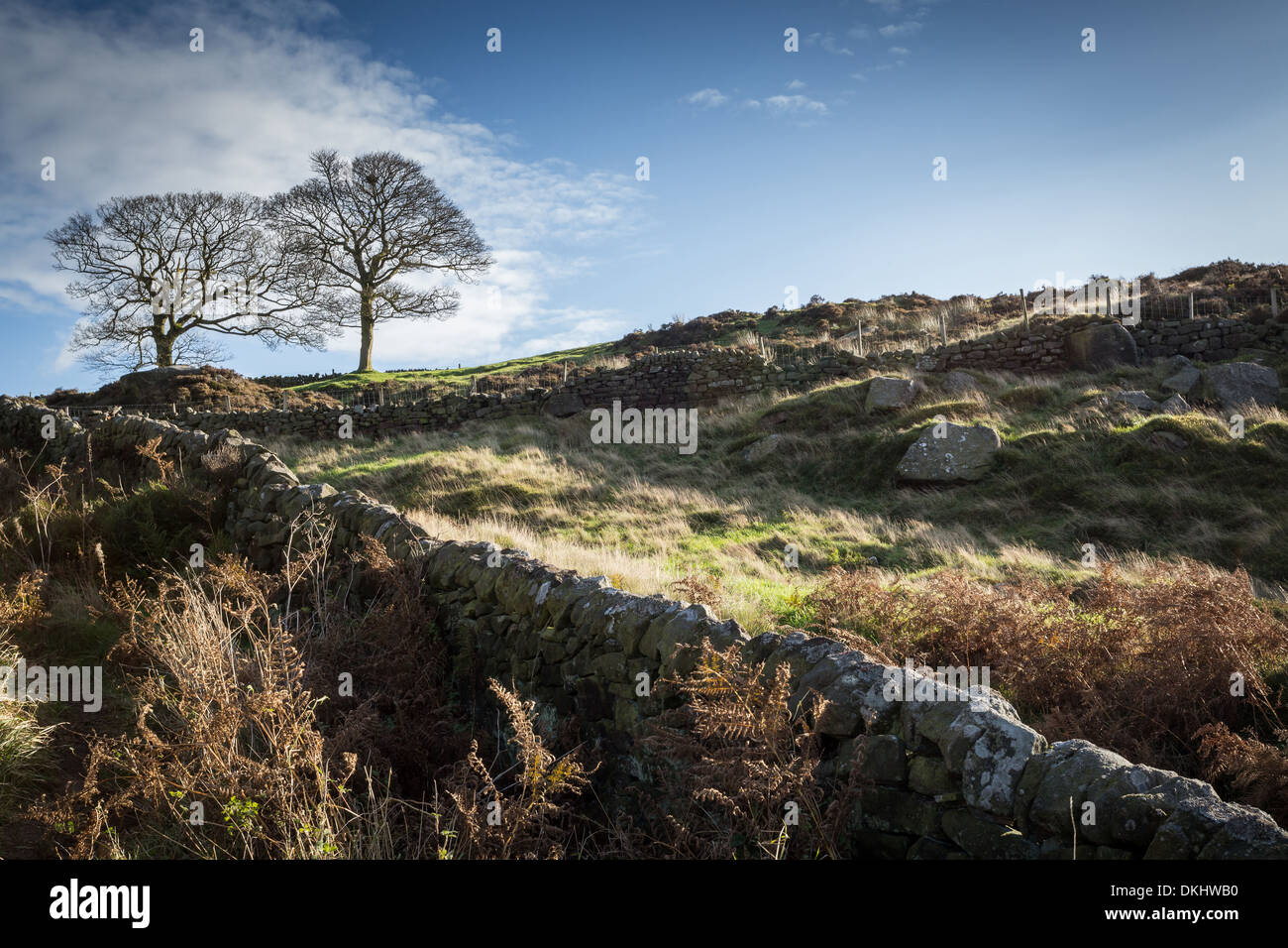 Baslow Edge Peak District Rock In Sheffield Stock Photo - Alamy