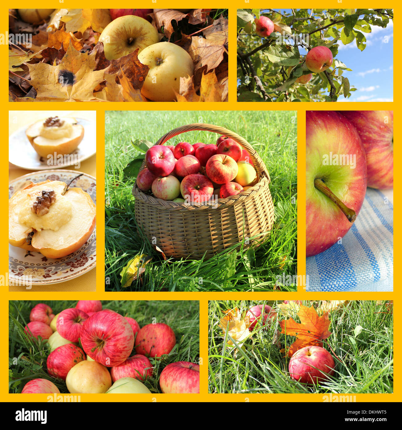 Collage of fresh apples Stock Photo - Alamy