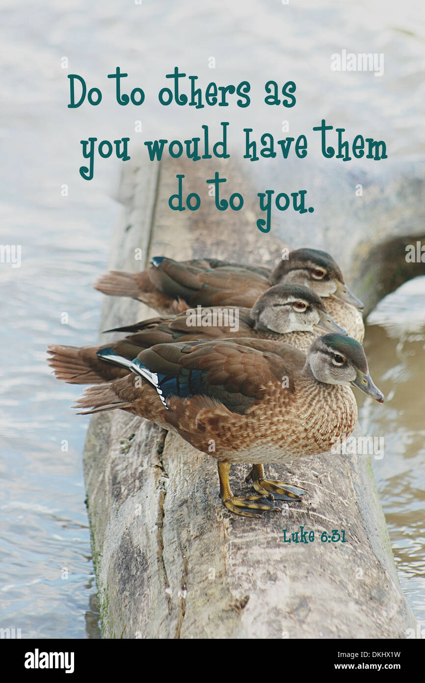 An inspirational Bible verse from Luke 6:31. Do to others as you would ...