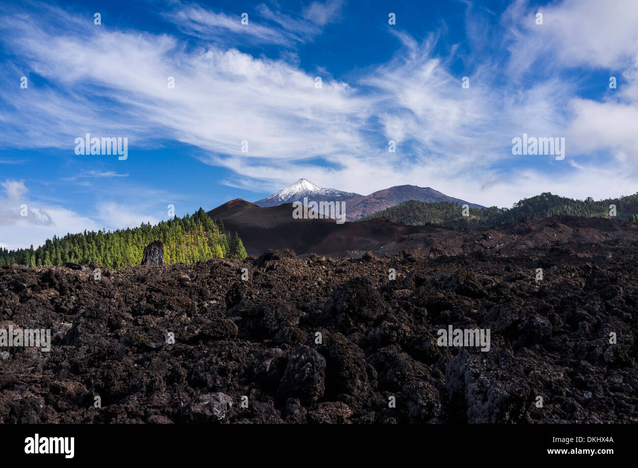 View to Teide with snow from the Chinyero area where the last eruption ...