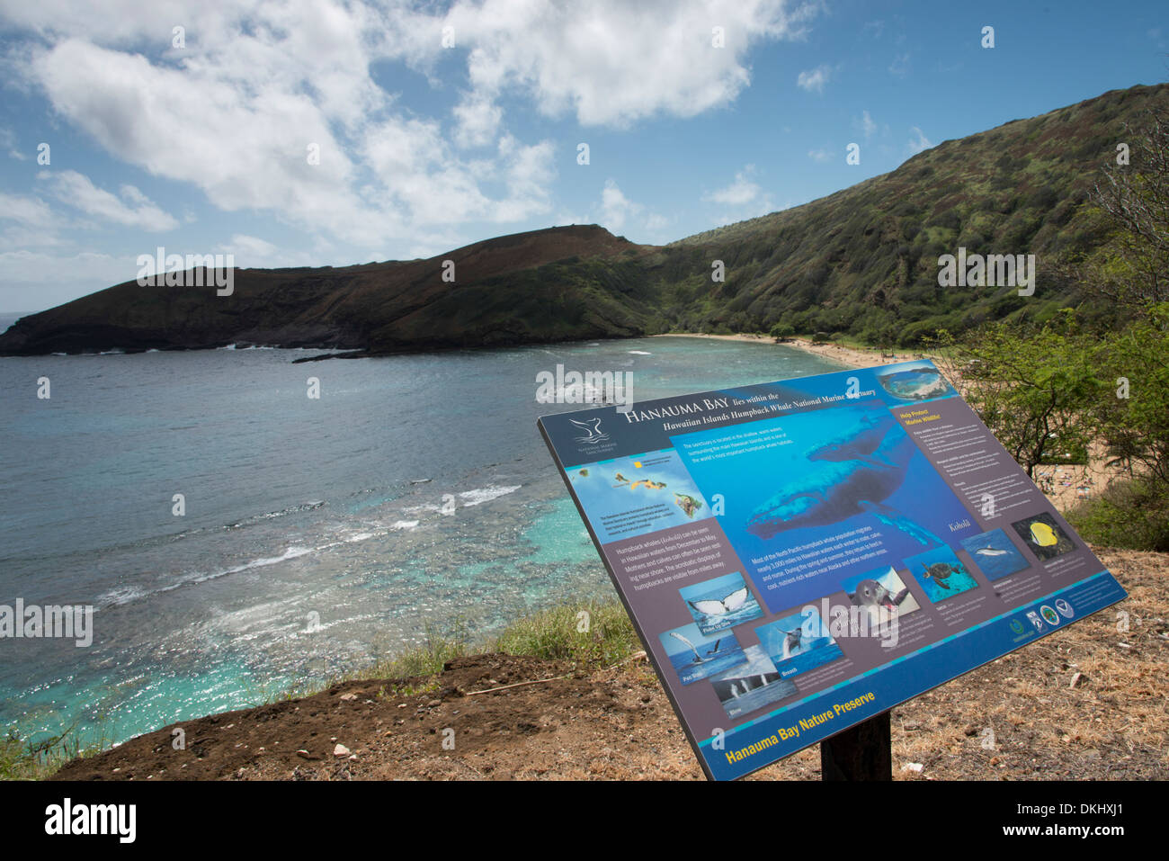 Hanauma bay honolulu oahu hawaii hi-res stock photography and images ...