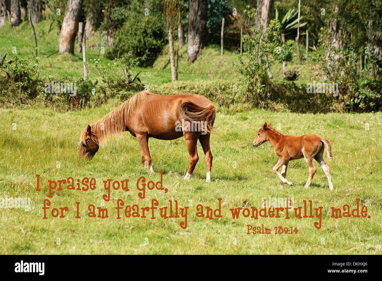Fearfully and wonderfully made hi-res stock photography and images - Alamy