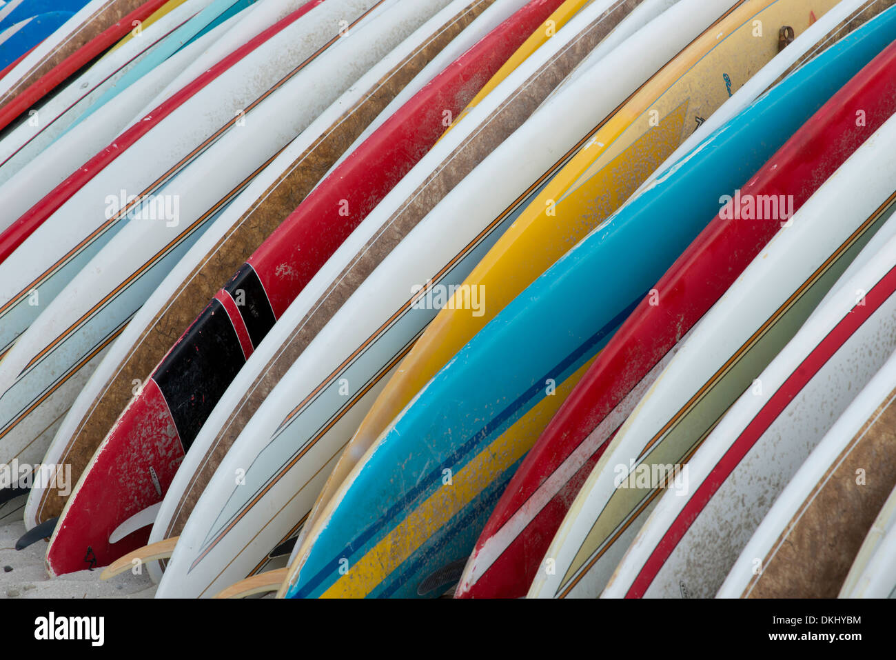 Surfboards in a row on the beach, Waikiki, Honolulu, Oahu, Hawaii, USA ...