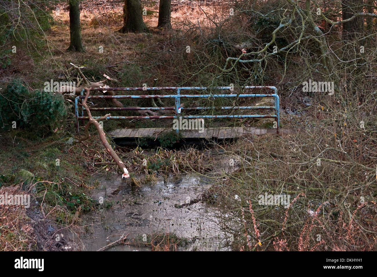 Storm damage winter storm damage hi-res stock photography and images ...