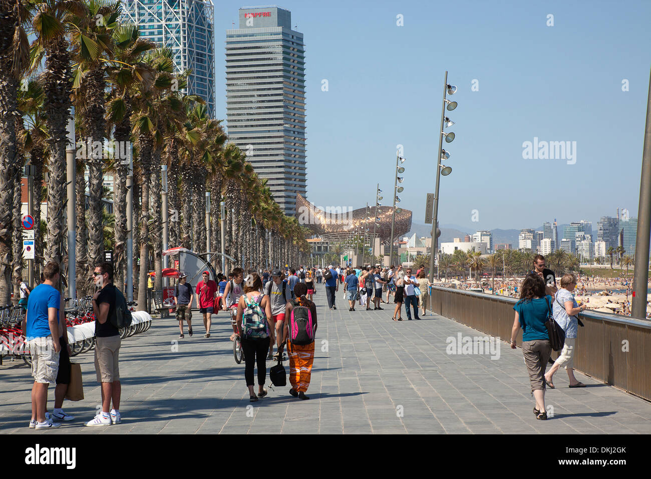Playa de barceloneta hi-res stock photography and images - Alamy