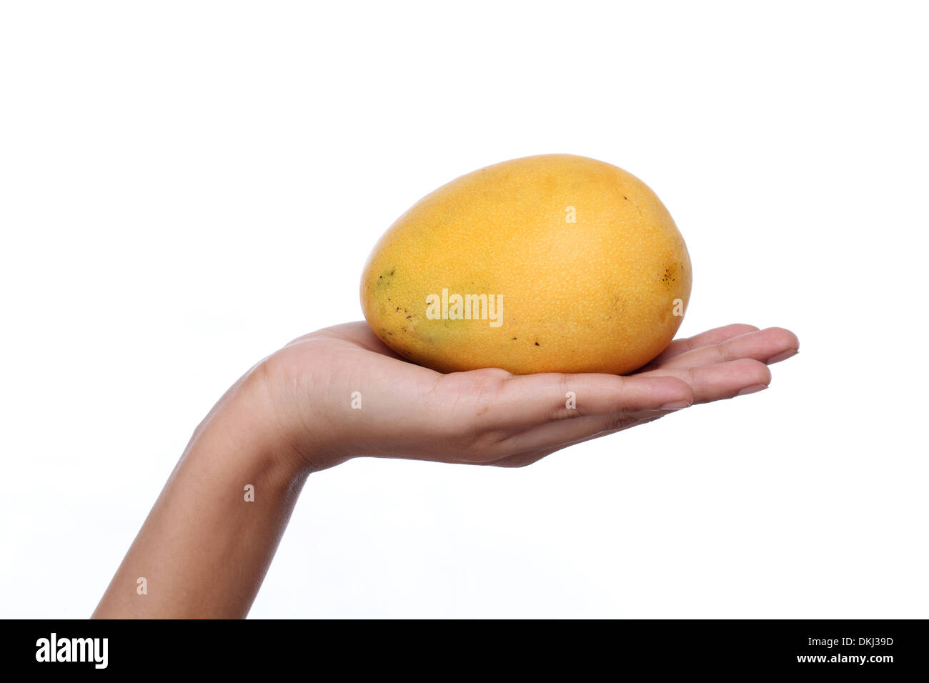 Hand holding mango fruit on white background Stock Photo - Alamy