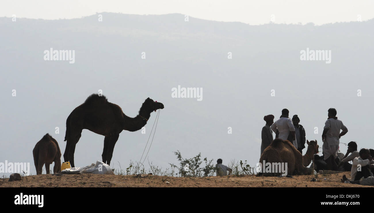 A shepherd and camels in the desert hi-res stock photography and images ...