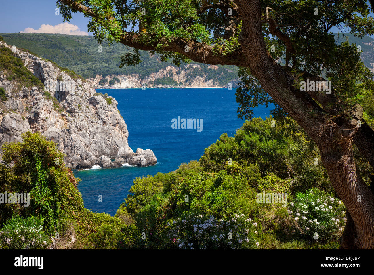 Corfu greece hi-res stock photography and images - Alamy